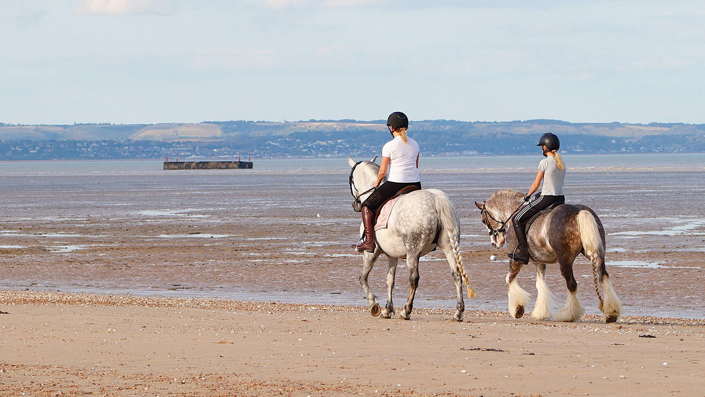 Equestrian Summer Bucket List: 10 Things to Do with Your Horse This Su ...