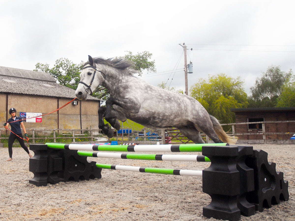 Eco Beginner Jump Set | Eco Jumps | PolyJumps®