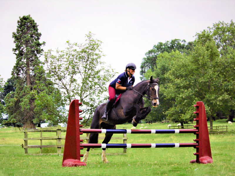 8 Cup Intro Set | Heritage Collection | PolyJumps®